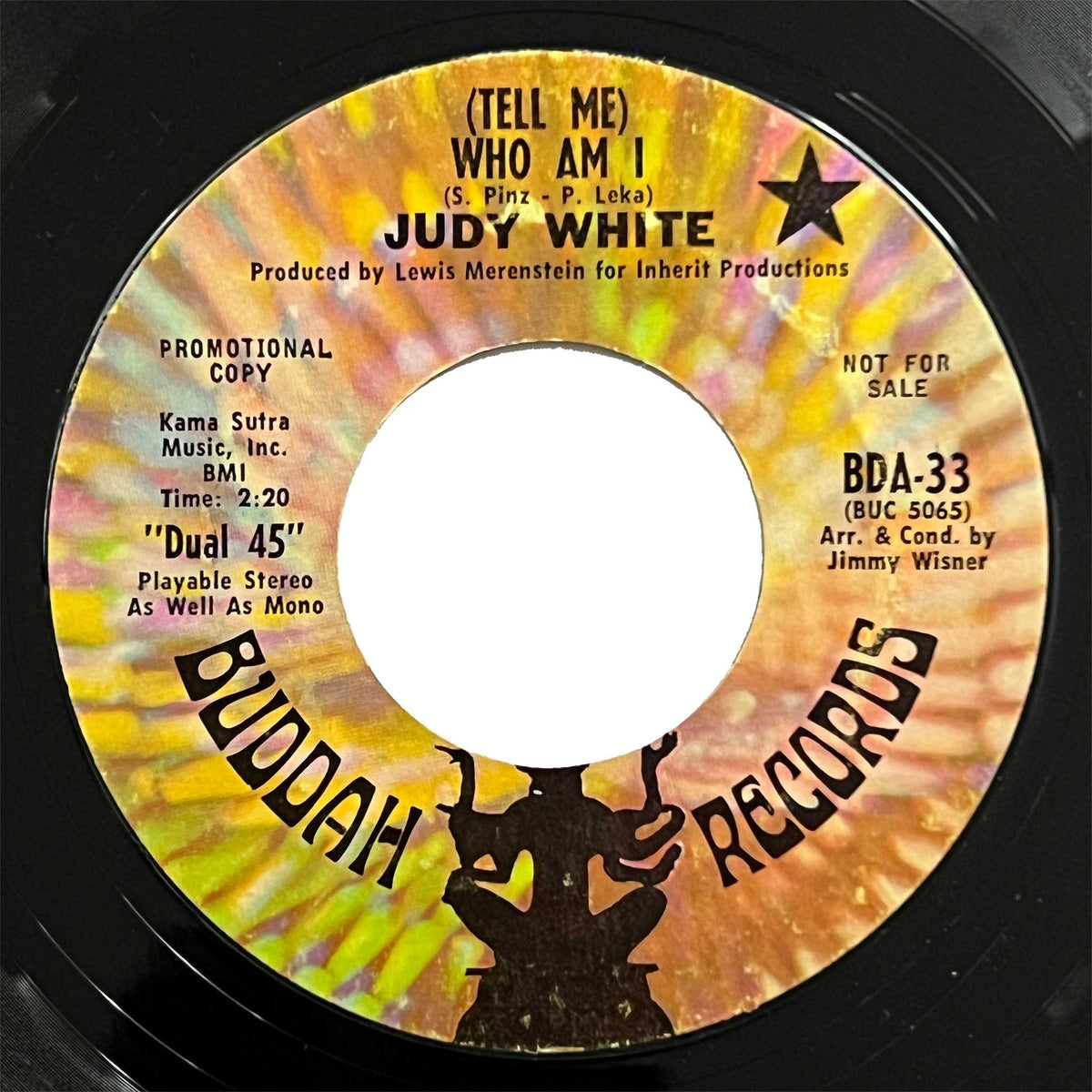 Judy White - Building A World For Two | Inksplat Records